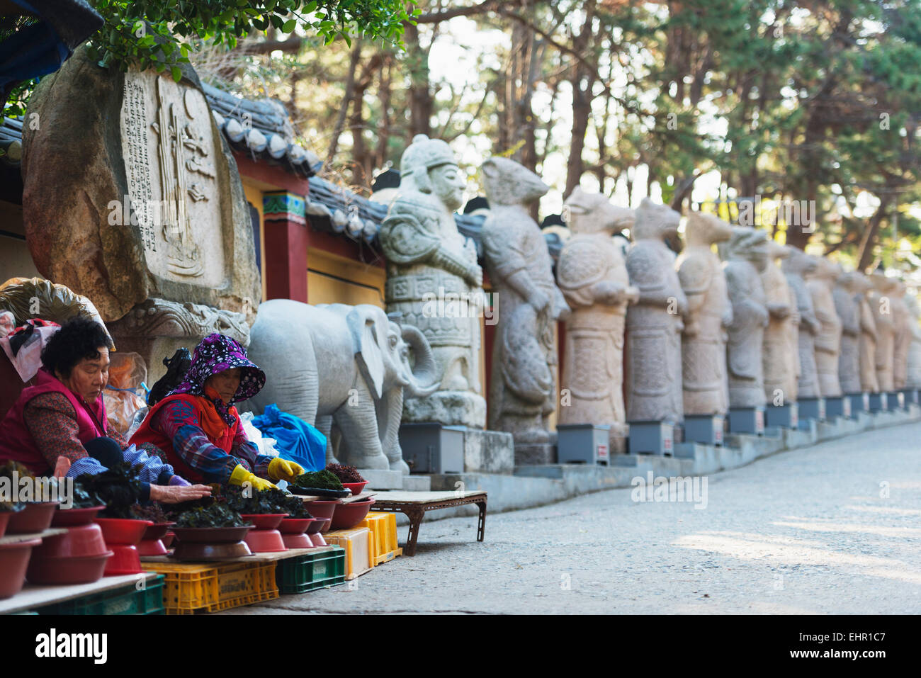 Asia, Republic of Korea, South Korea, Busan, statues at Haedong ...