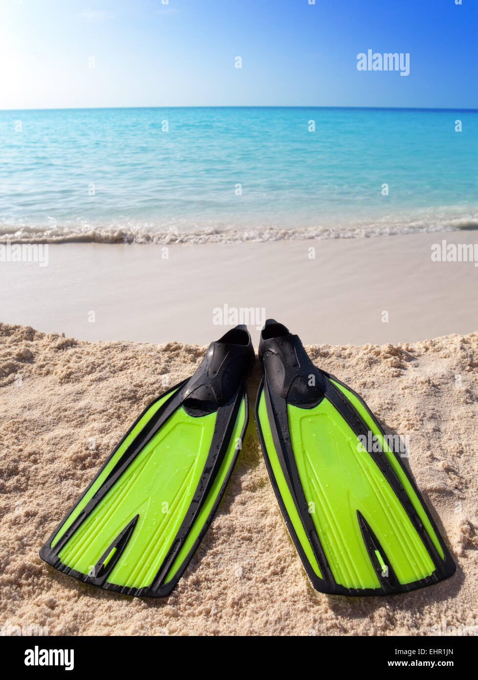 flippers on sand at sea edge Stock Photo - Alamy