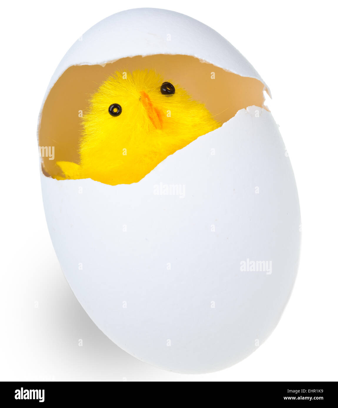 Newborn chicken in shell of egg Stock Photo - Alamy