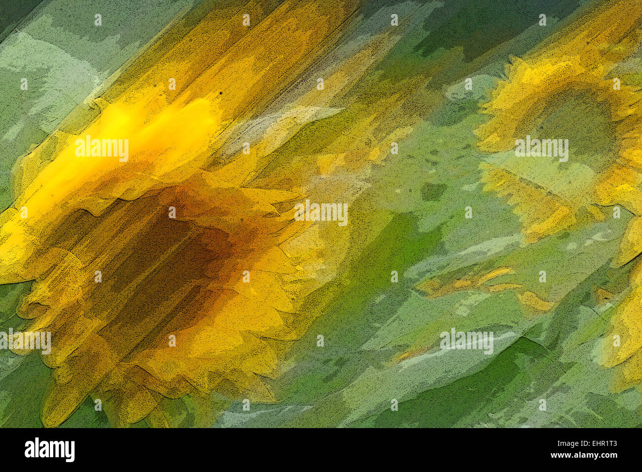 Sunflower abstract hi-res stock photography and images - Alamy
