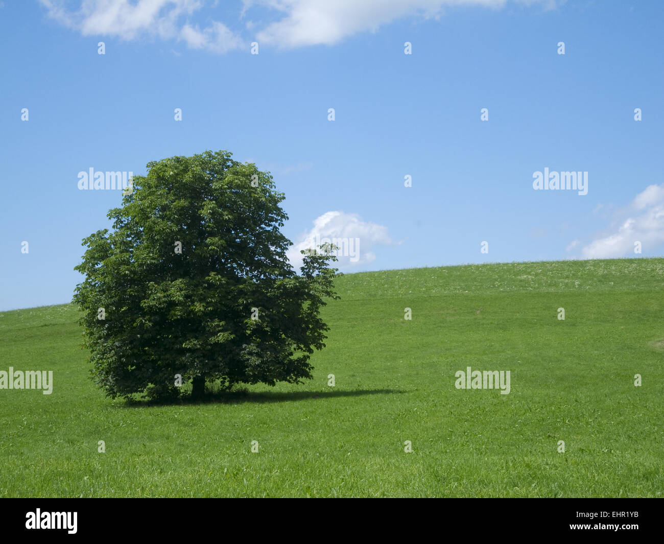 Jareszeit hi-res stock photography and images - Alamy