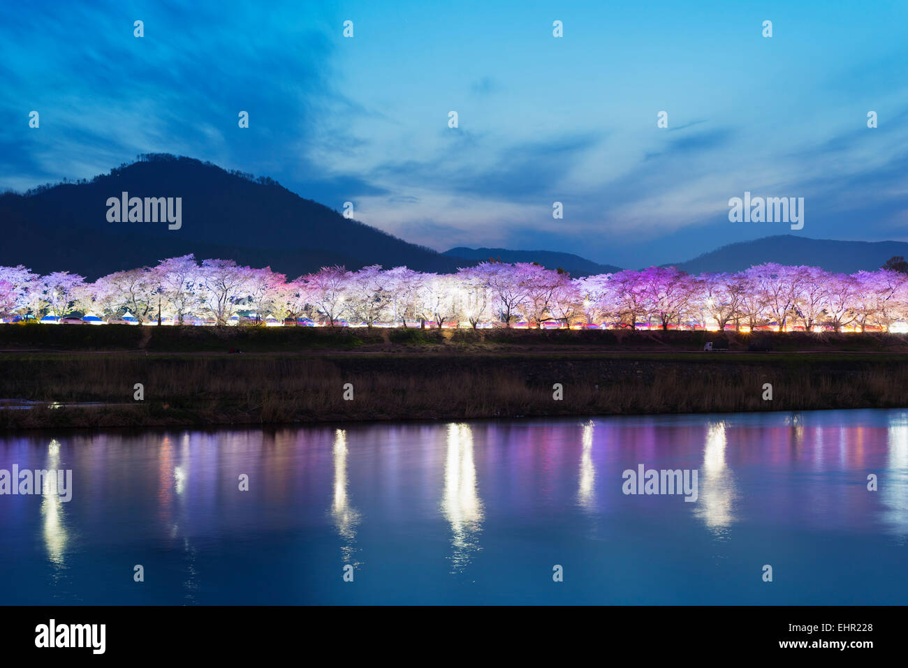 Gyeongju hi-res stock photography and images - Alamy
