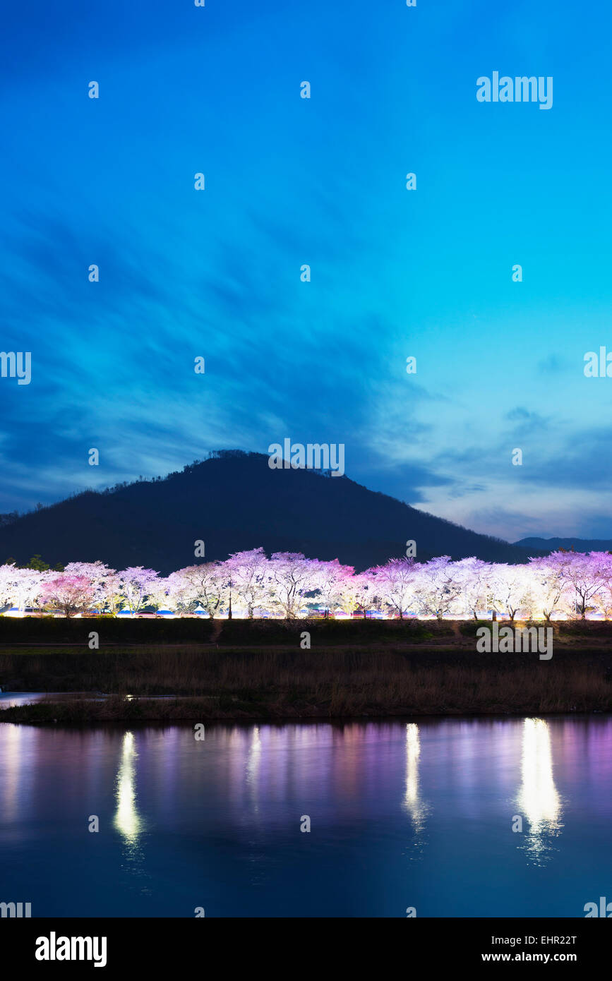 Asia, Republic of Korea, South Korea, Gyeongsangbuk-do, Gyeongju ...