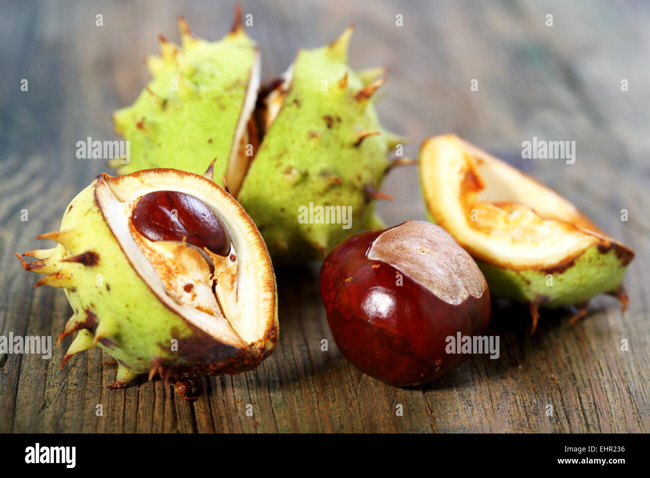 Chestnuts in spiky shells hi-res stock photography and images - Alamy