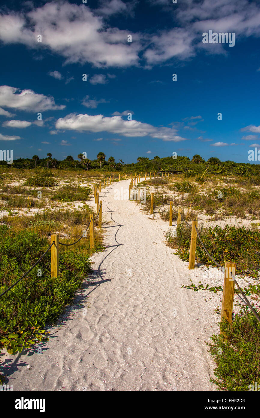 Trail to the beach in Sanibel, Florida Stock Photo - Alamy