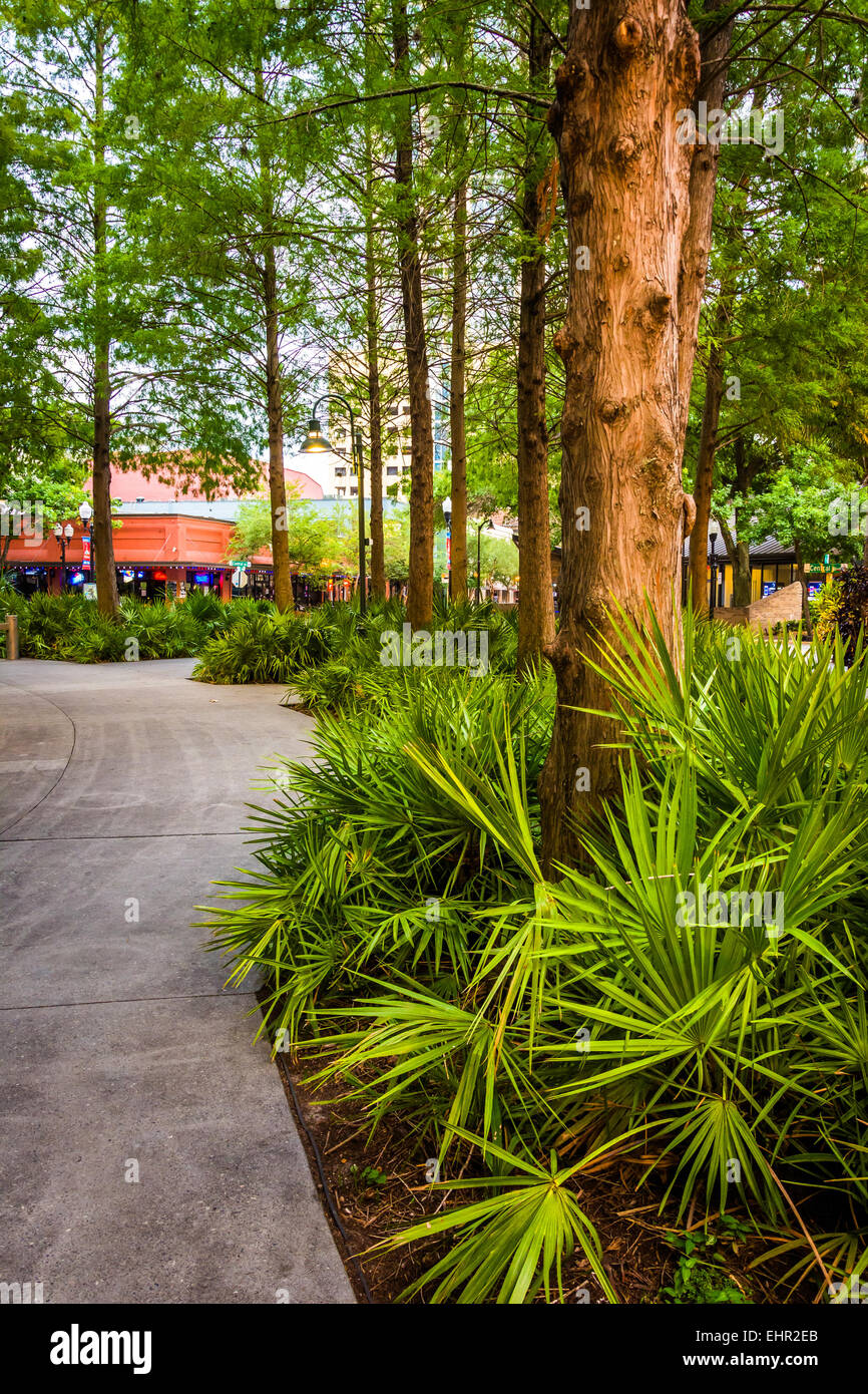 Orlando landscape hi-res stock photography and images - Alamy