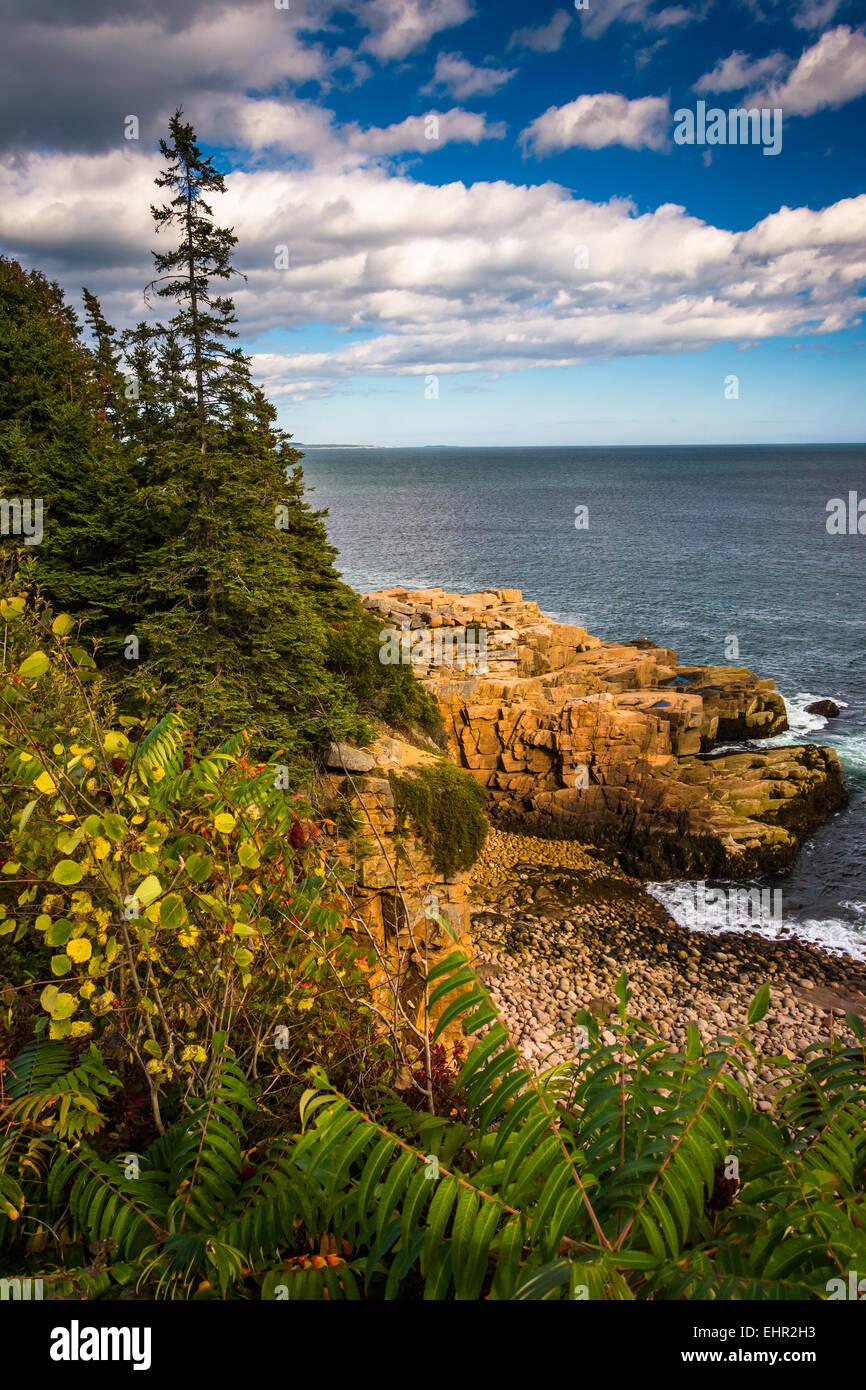 View of cliffs and the Atlantic Ocean in Acadia National Park, Maine ...
