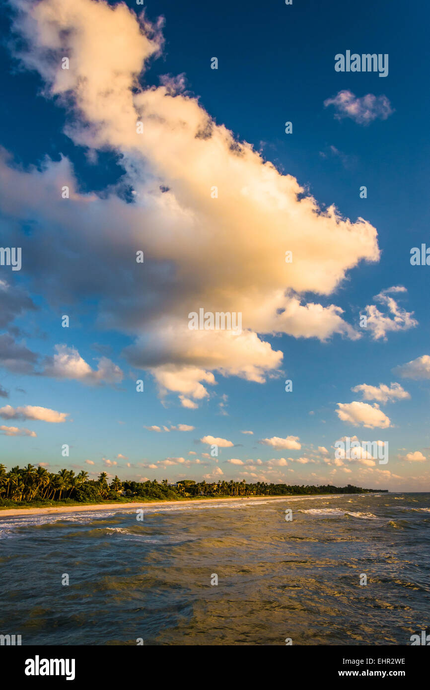 View of the beach from the fishing pier in Naples, Florida Stock Photo ...