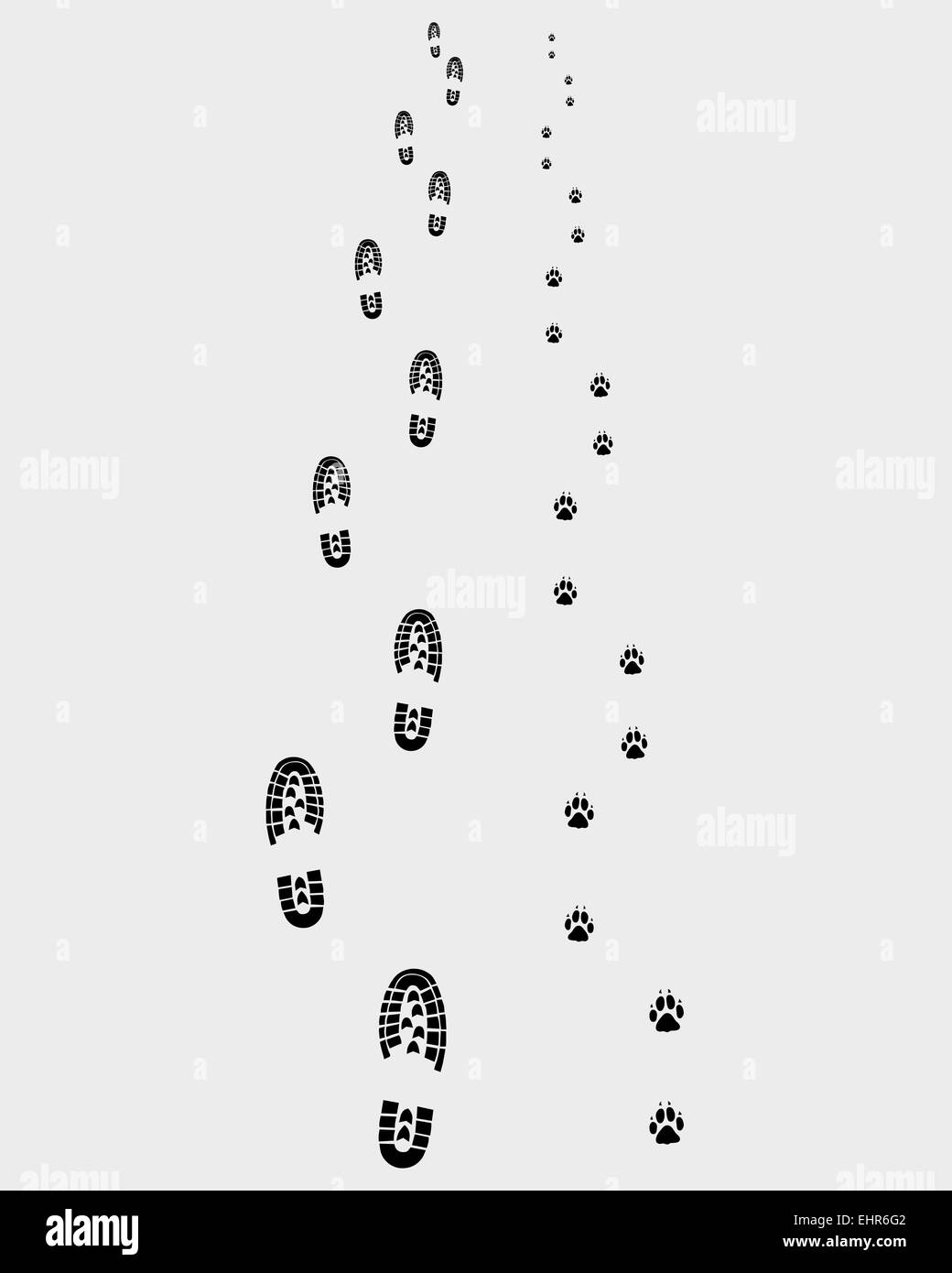 Human and dog footprints hi-res stock photography and images - Alamy