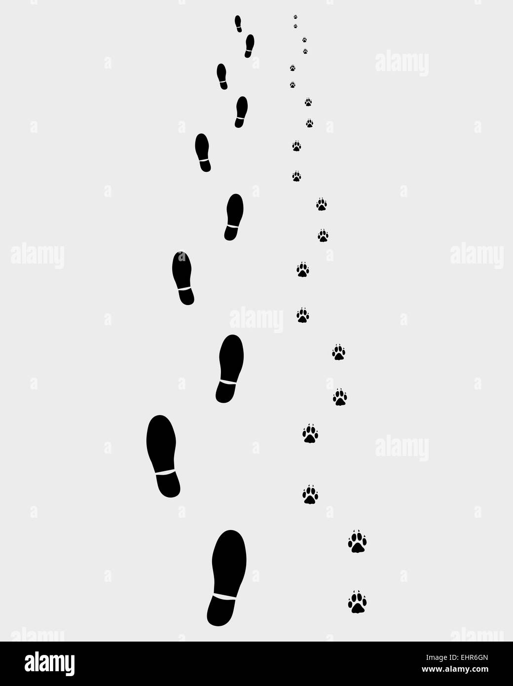 Human and dog footprints hi-res stock photography and images - Alamy