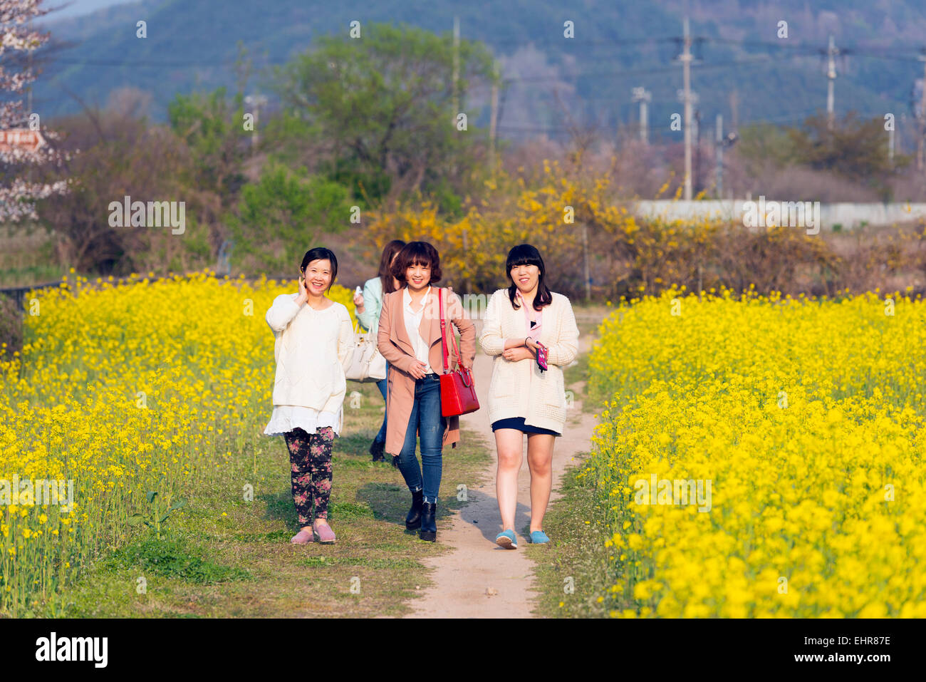 Asia, Republic of Korea, South Korea, Gyeongsangbuk-do, Gyeongju ...