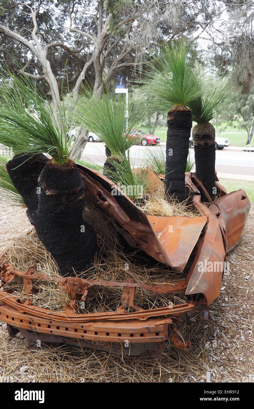 Balga grass tree trees hi-res stock photography and images - Alamy