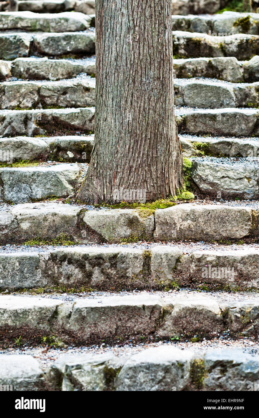 Garden Stone Steps High Resolution Stock Photography and Images - Alamy