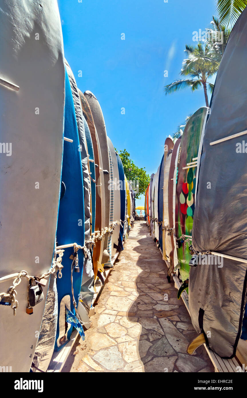 Surfboards lined up in the rack at famous Waikiki Beach in Honolulu ...