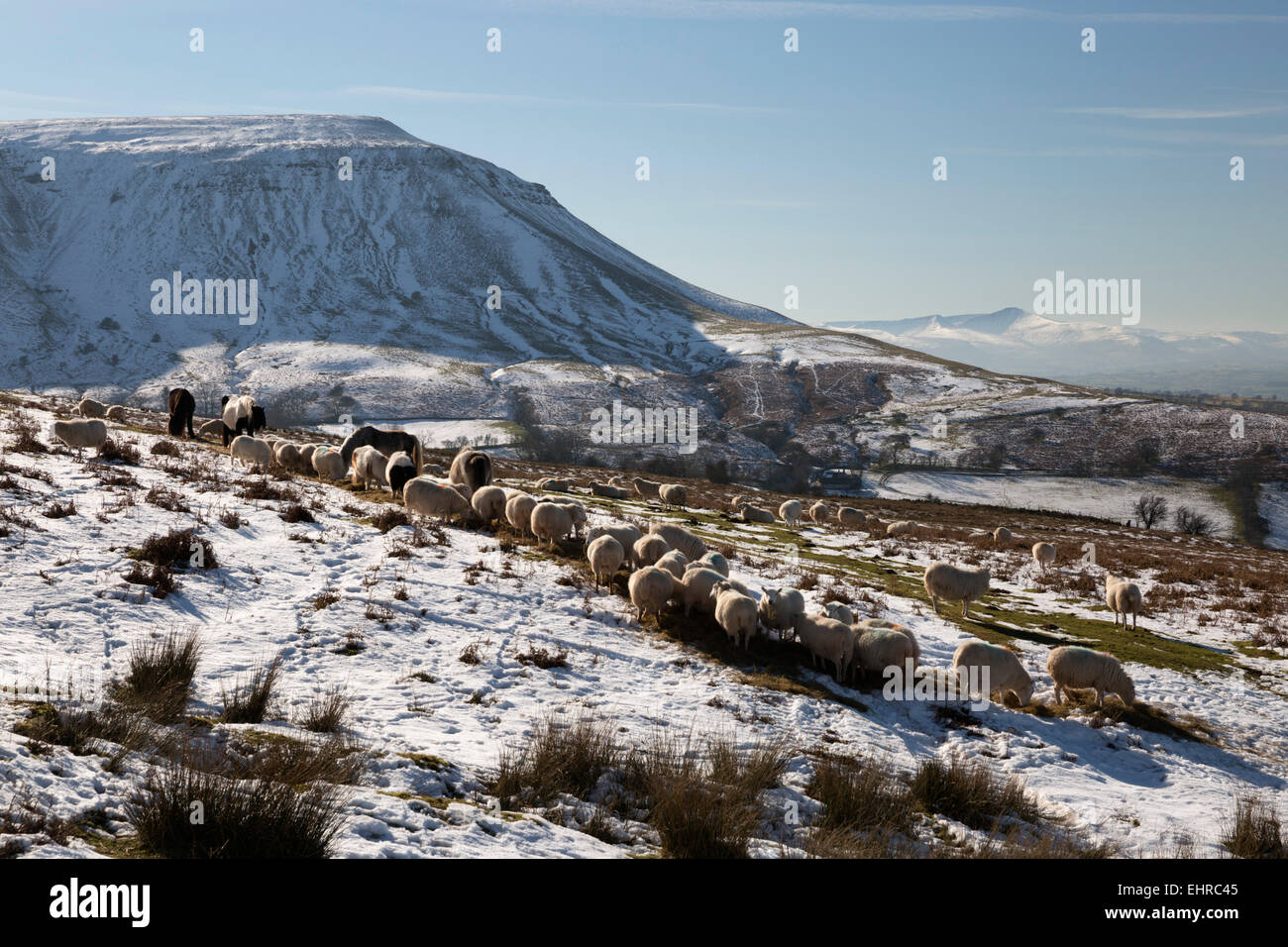 Hay bluff hi-res stock photography and images - Alamy