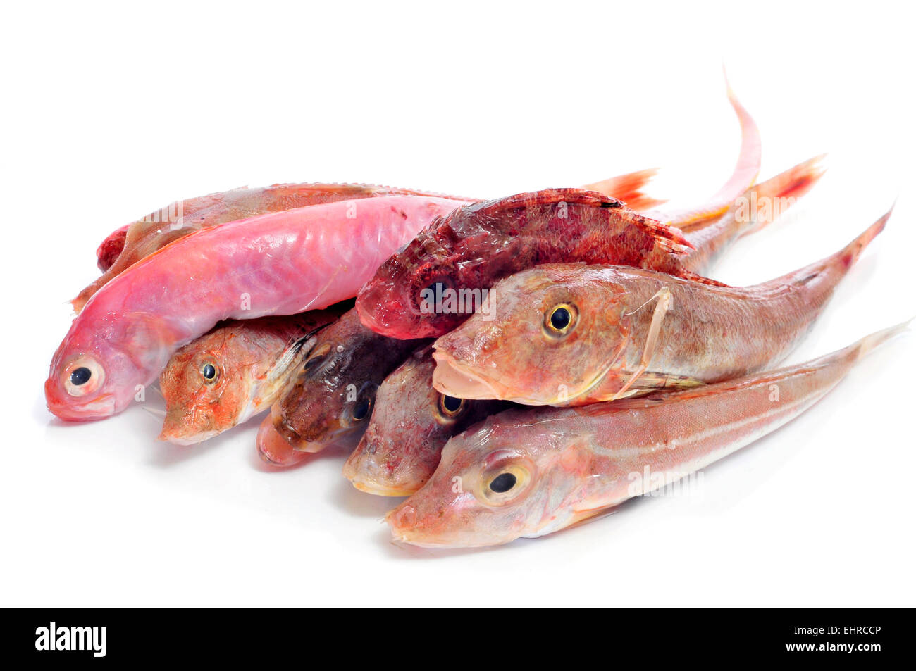 closeup of some raw fishes on a white background Stock Photo - Alamy