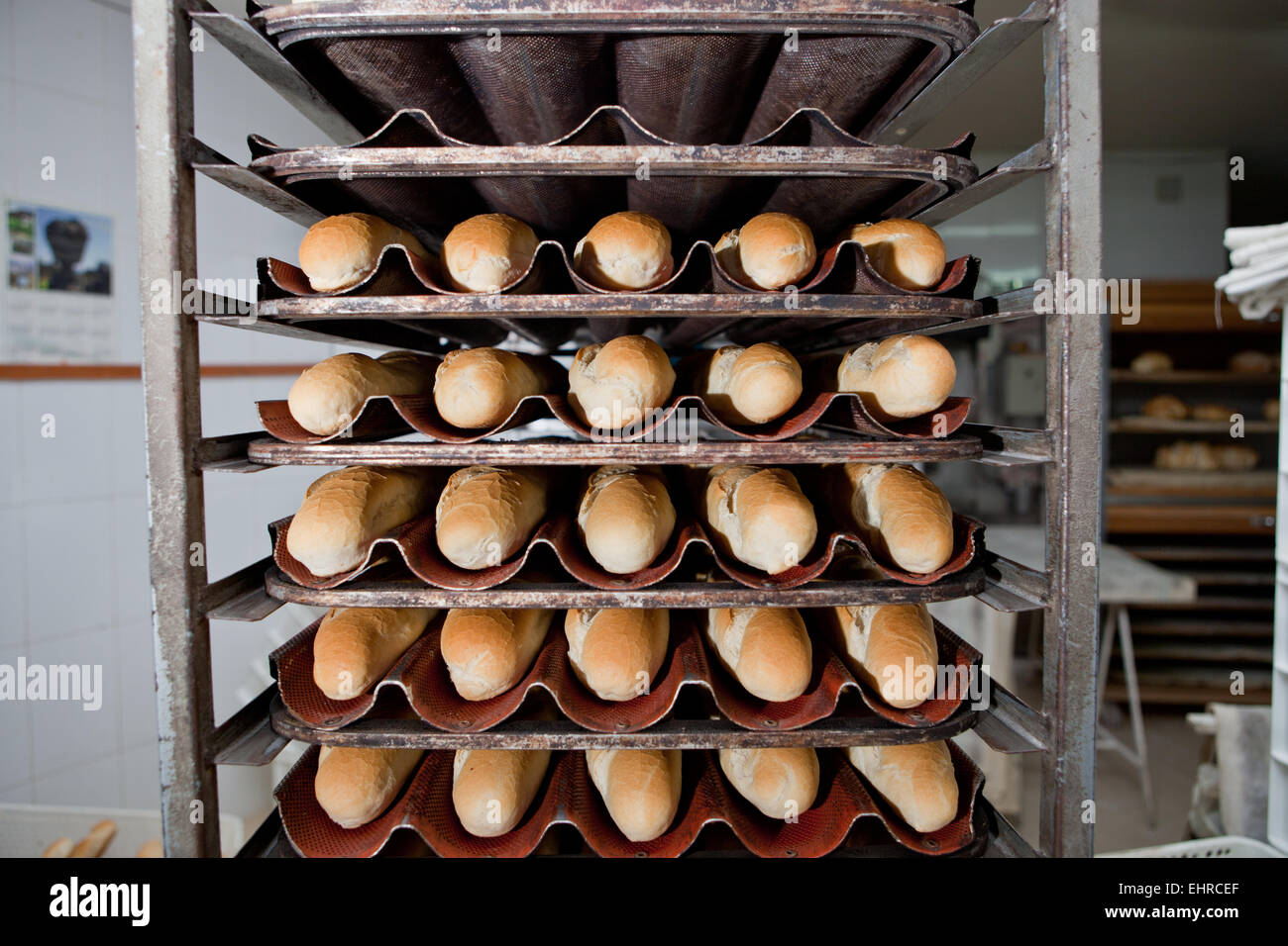 Baguette rows of bread loaves in racks in a bakery Stock Photo - Alamy