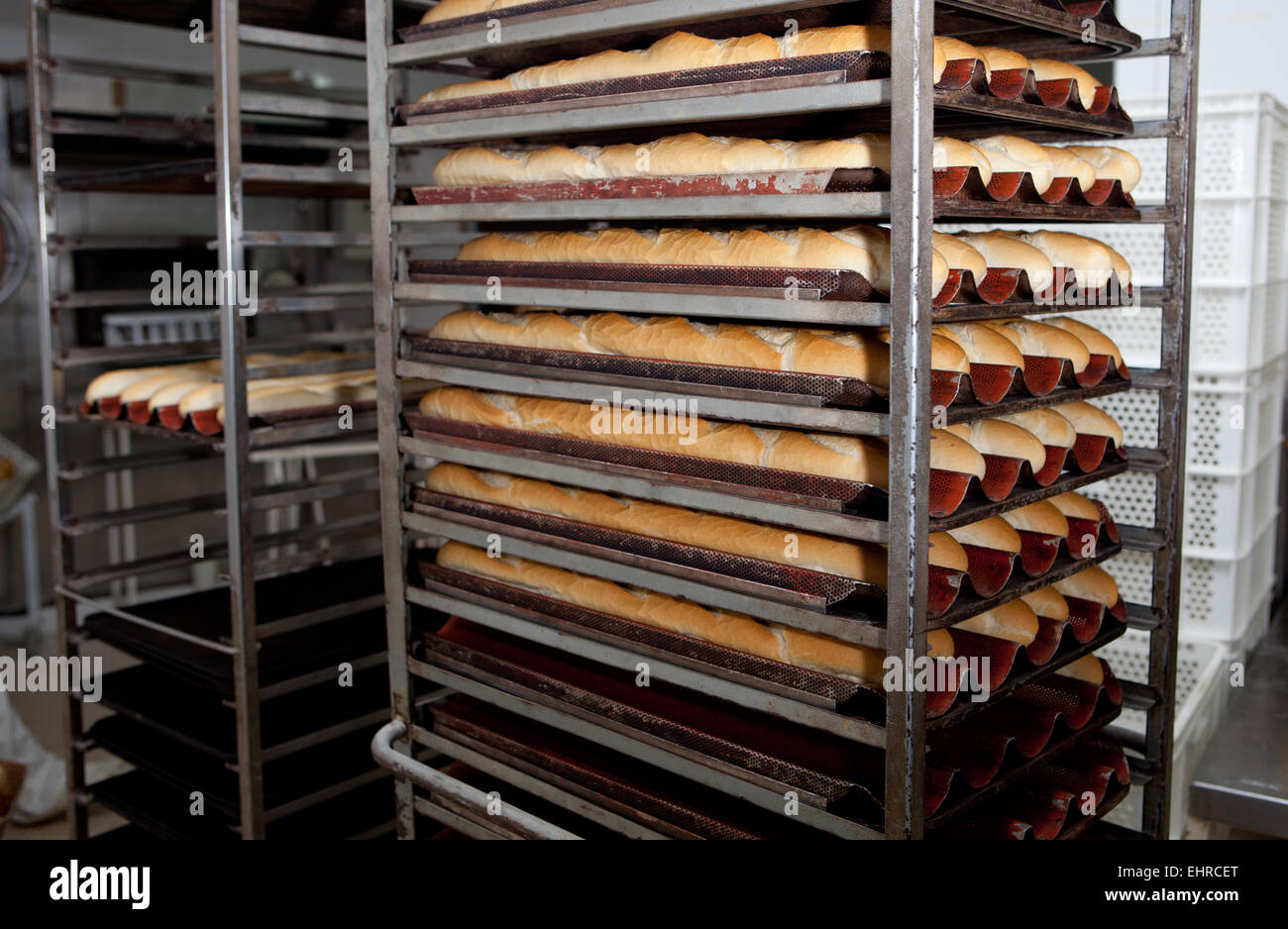 Baguette rows of bread loaves in racks in a bakery Stock Photo - Alamy