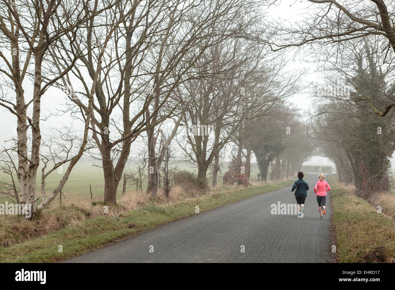 Wiltshire uk countryside train hi-res stock photography and images - Alamy