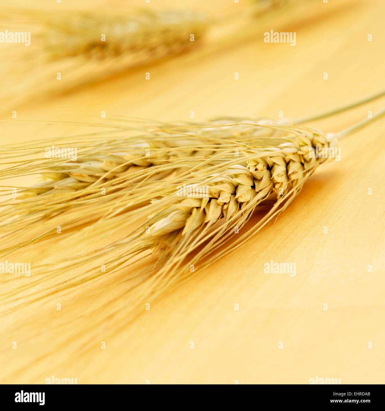 Ears common wheat bread hi-res stock photography and images - Alamy