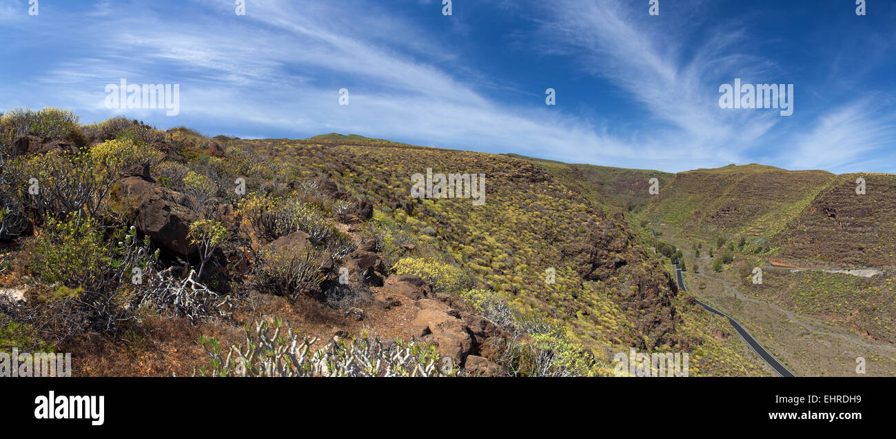 Barranco de guayadeque ravine gran hi-res stock photography and images ...