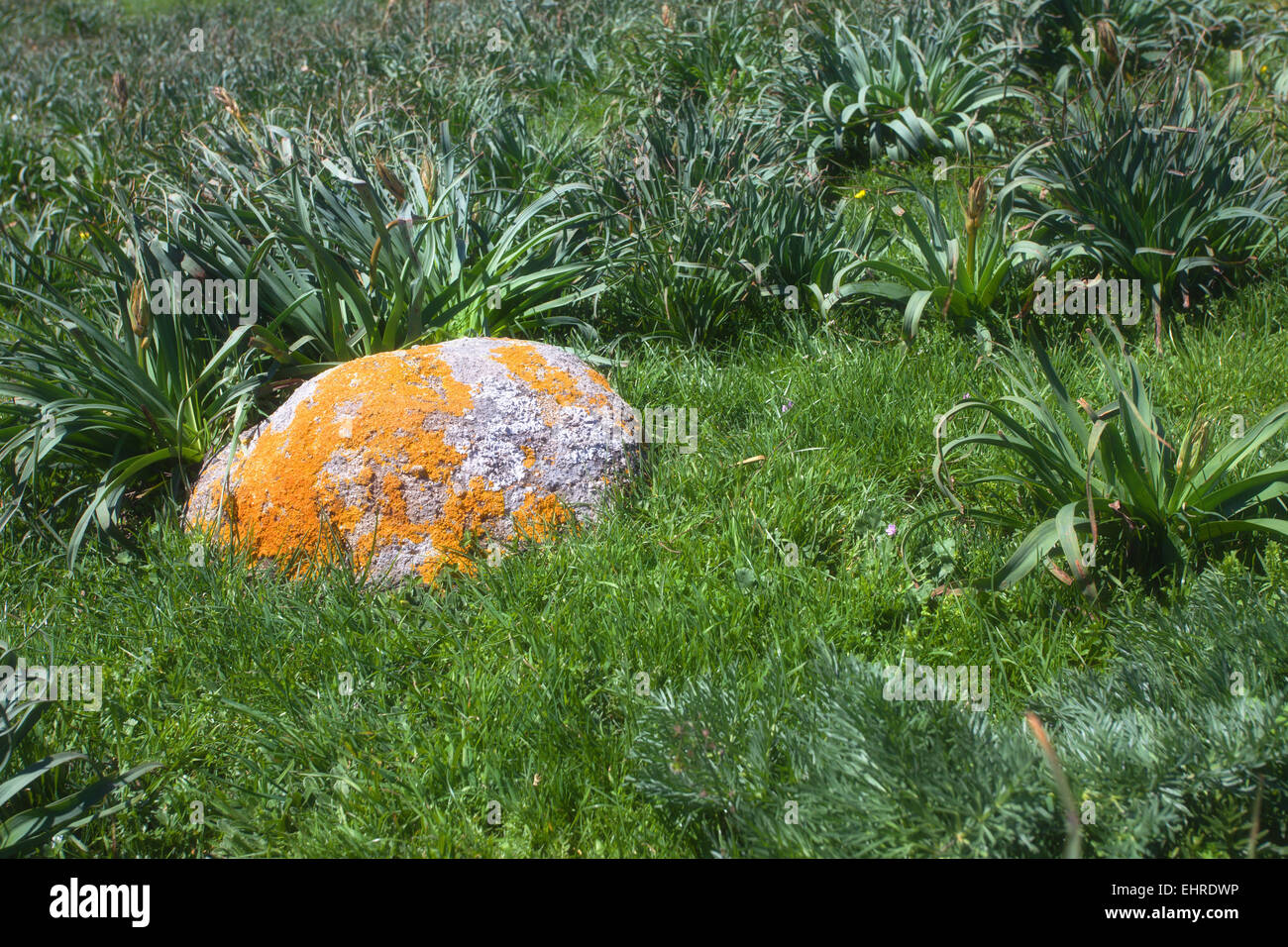 Argimusco rocks in Sicily country. Italy Stock Photo - Alamy