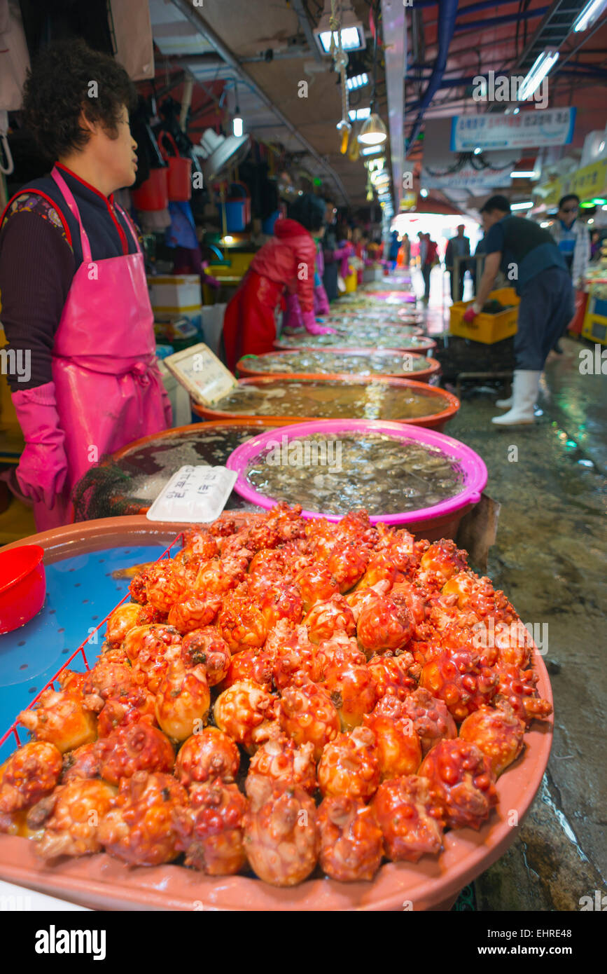 Asia, Republic of Korea, South Korea, Incheon fish market Stock Photo ...