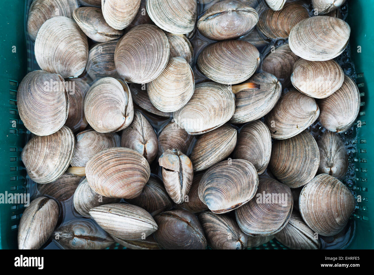 Asia, Republic of Korea, South Korea, Jeju island, Dongmun traditional ...