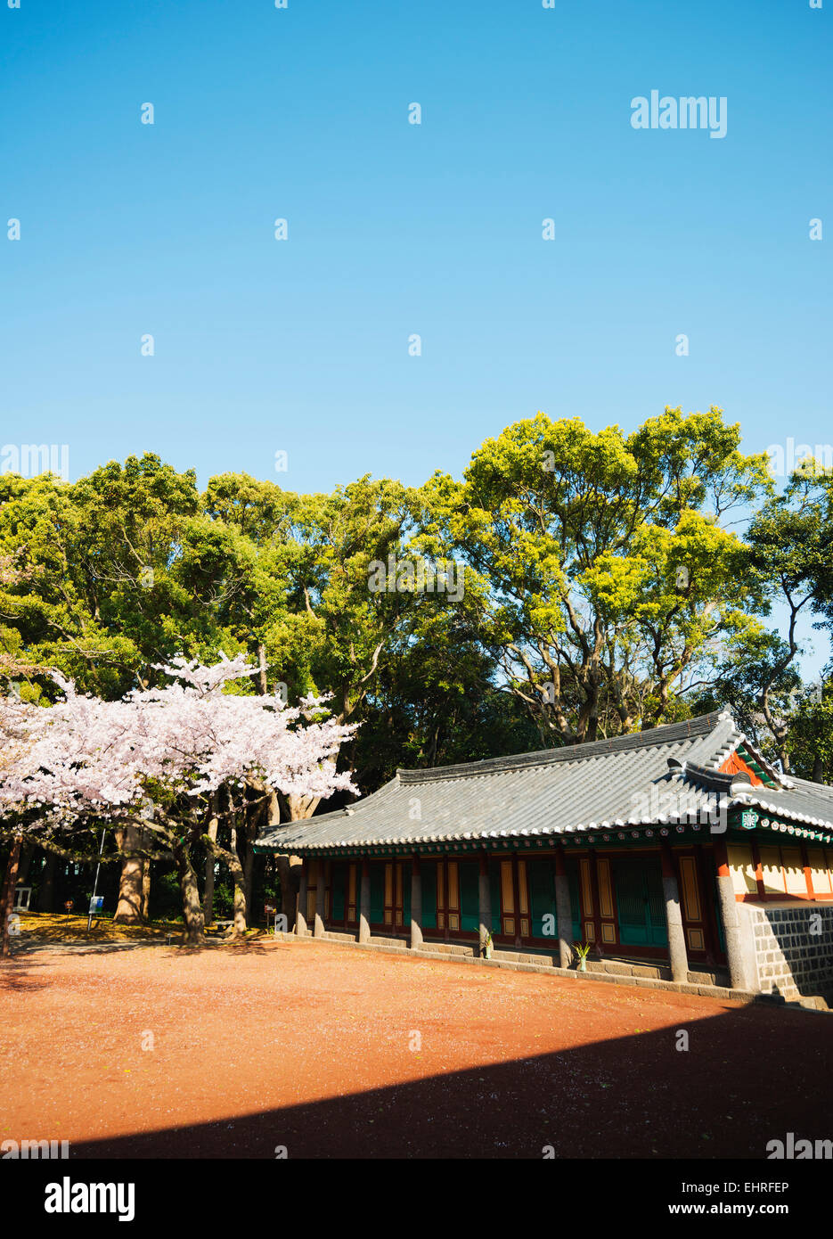 Asia, Republic of Korea, South Korea, Jeju island, Jeju city ...