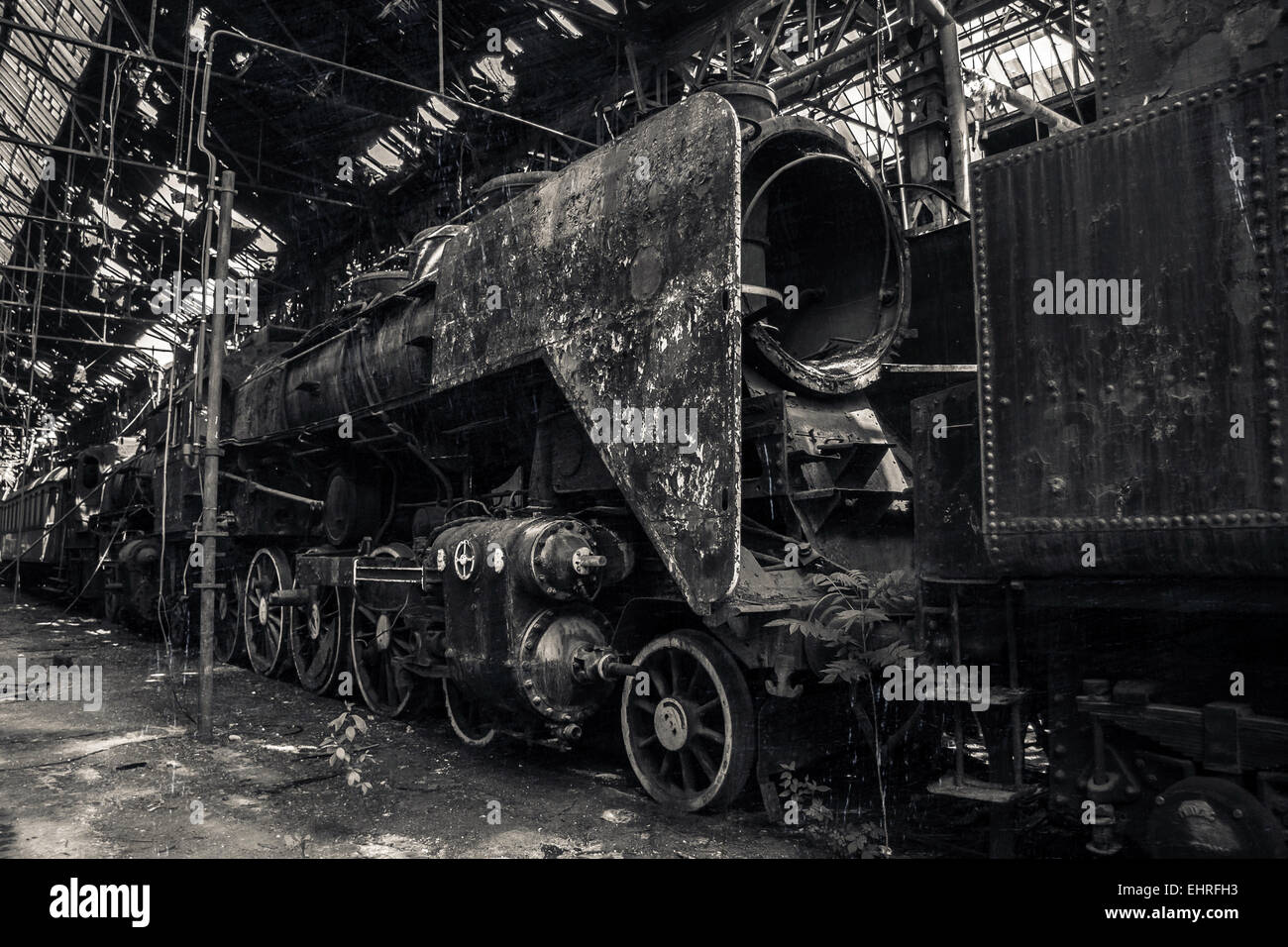Old trains at abandoned train depot Stock Photo - Alamy