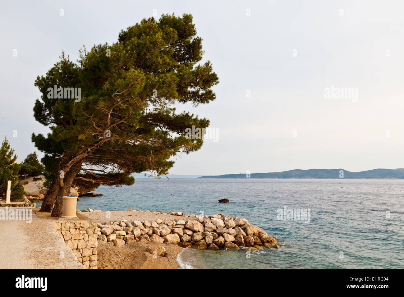 Sea pine tree croatia hi-res stock photography and images - Alamy