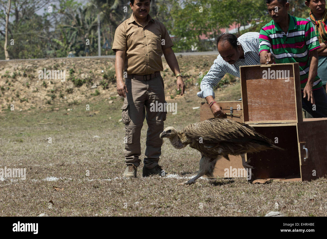 Assam forest department hi-res stock photography and images - Alamy