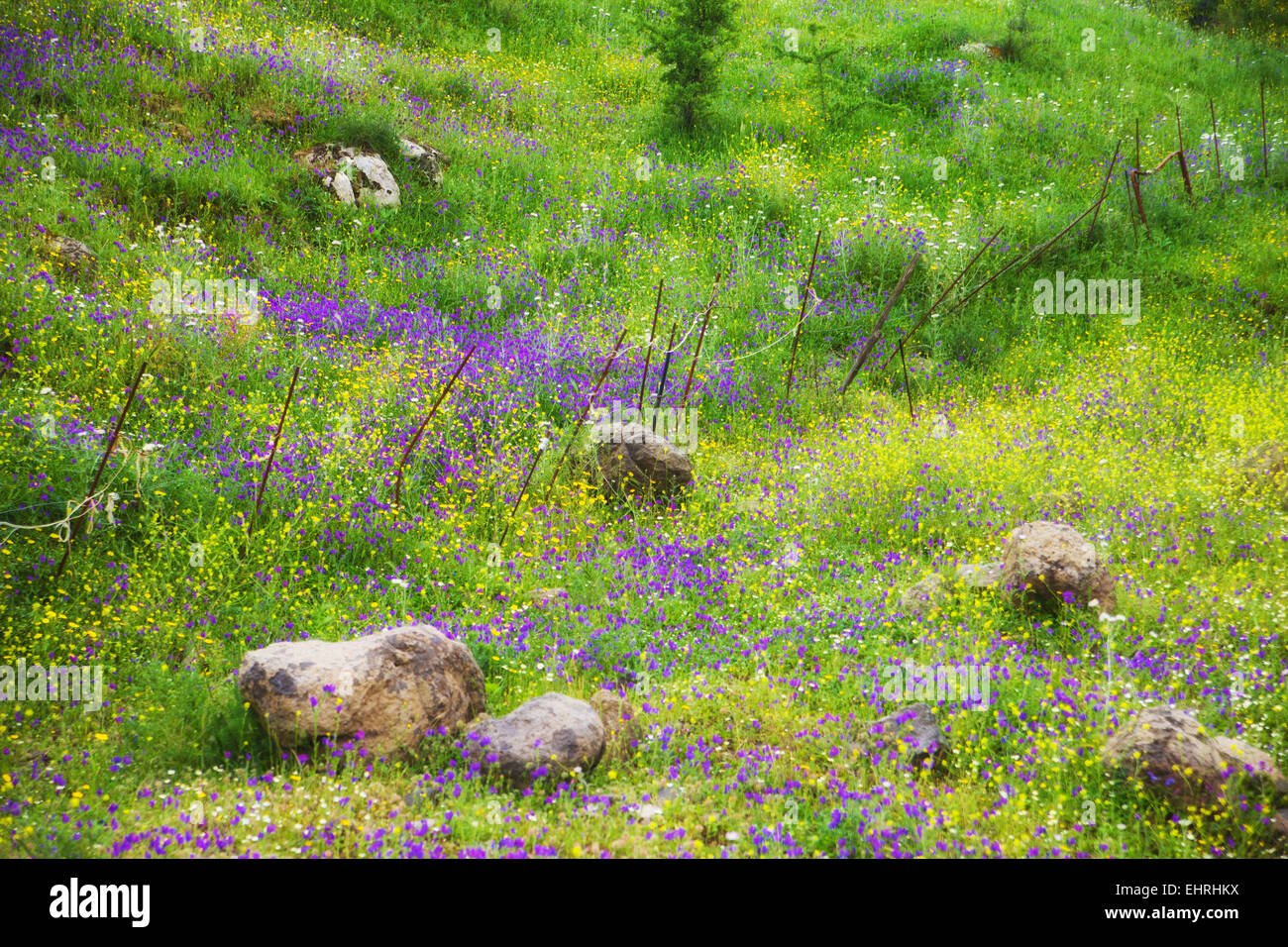 The flowery fence hi-res stock photography and images - Alamy