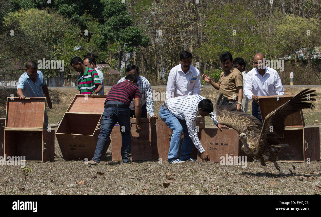 Assam forest department hi-res stock photography and images - Alamy