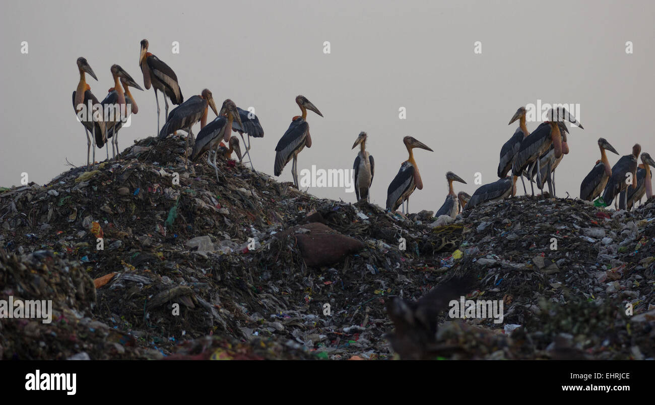 Guwahati city centre hi-res stock photography and images - Alamy