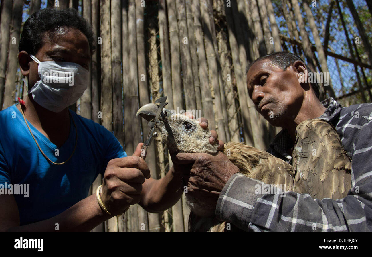 Rani, Assam, India. 17th Mar, 2015. Volunteers takes note of a ...