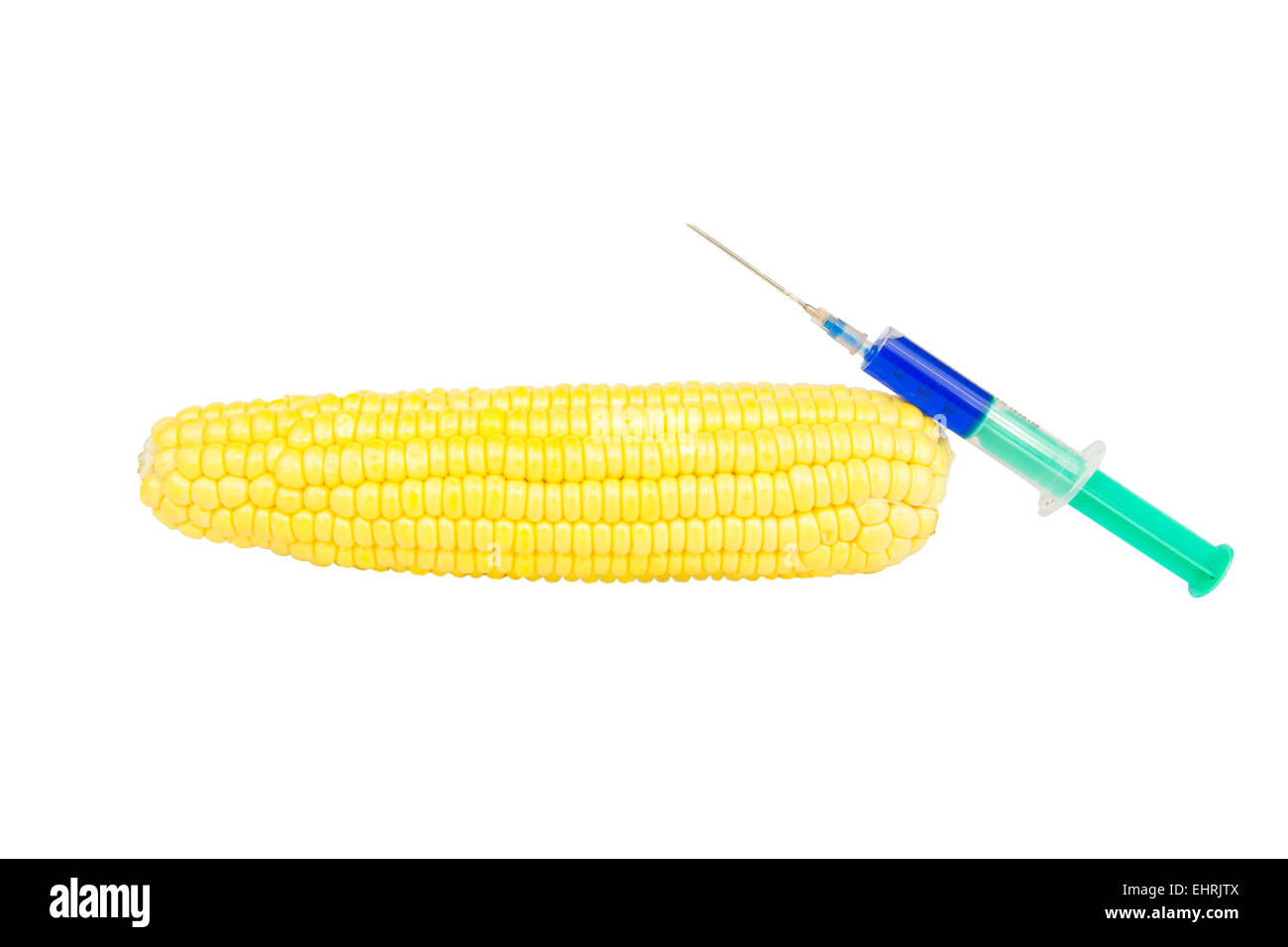 Genetic corn 3 Stock Photo - Alamy