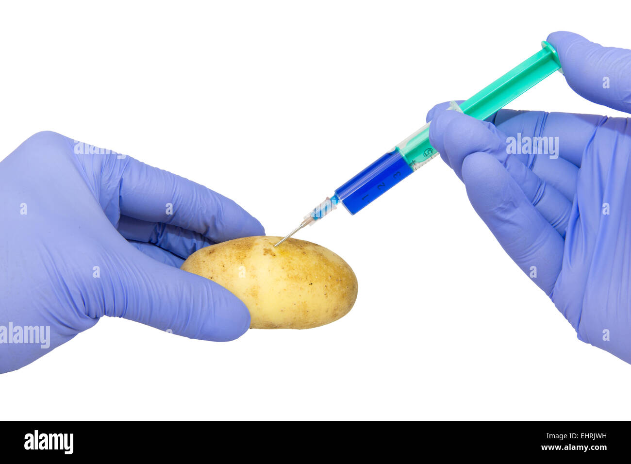 Genetic potato 2 Stock Photo - Alamy