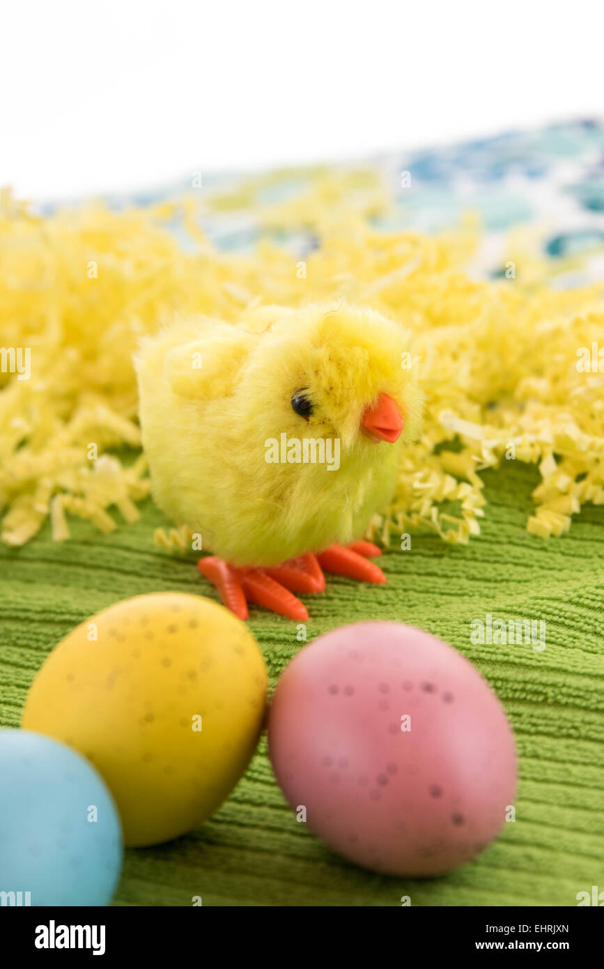 pastel colored eggs and yellow spring chick Stock Photo - Alamy