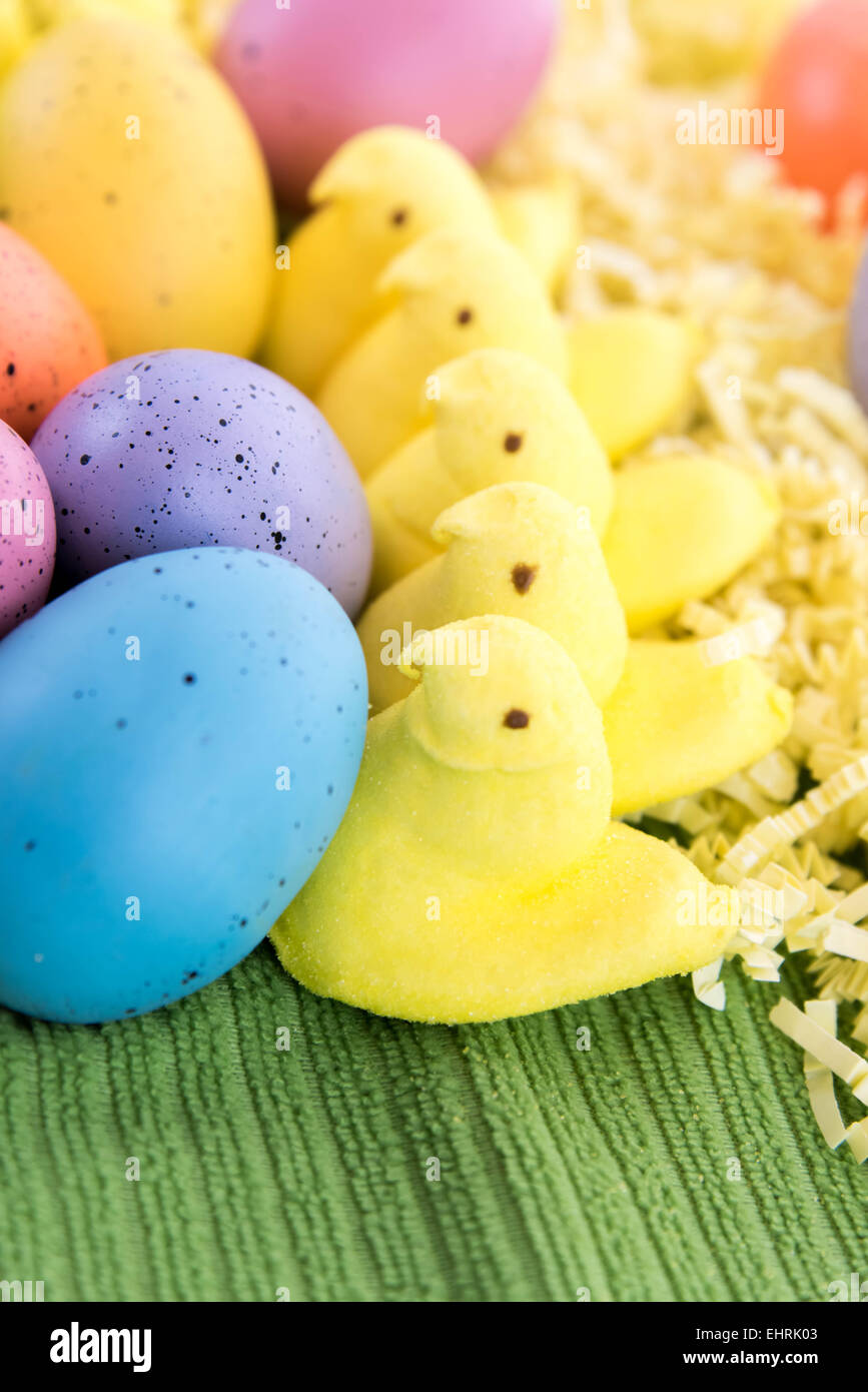 pastel colored Easter eggs and yellow marshmallow chicks Stock Photo ...
