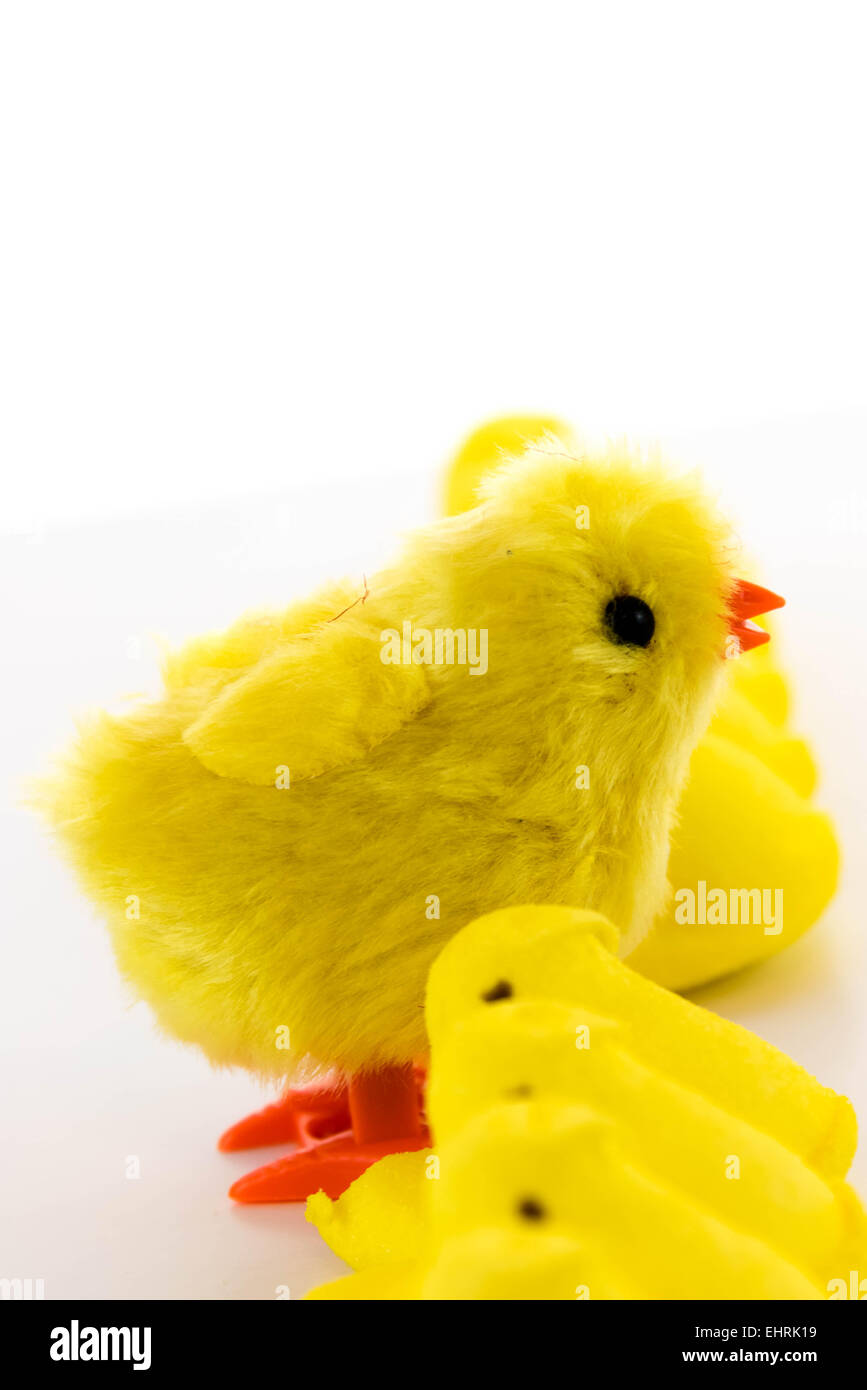 yellow marshmallow chicks Stock Photo - Alamy