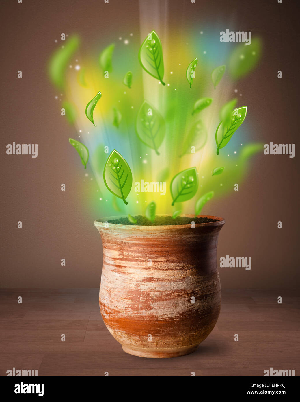 Glowing leaves coming out of flowerpot Stock Photo - Alamy