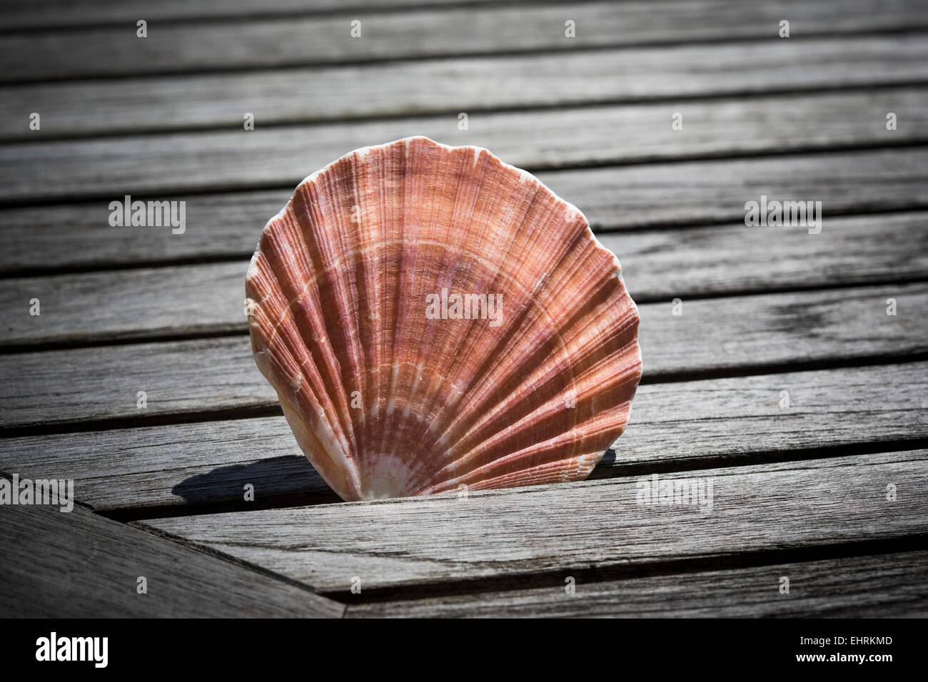 Wooden slatted table hi-res stock photography and images - Alamy