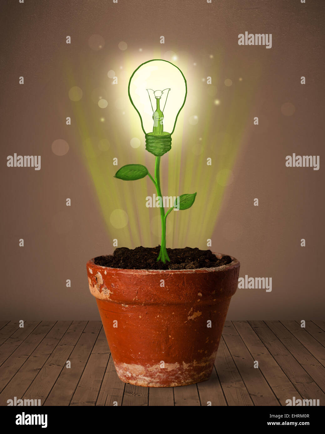 Terraco plant pot hi-res stock photography and images - Alamy