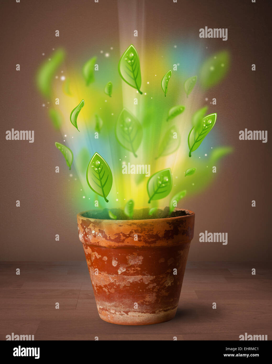 Glowing leaves coming out of flowerpot Stock Photo - Alamy