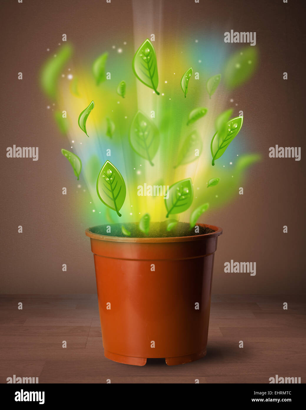 Glowing leaves coming out of flowerpot Stock Photo - Alamy