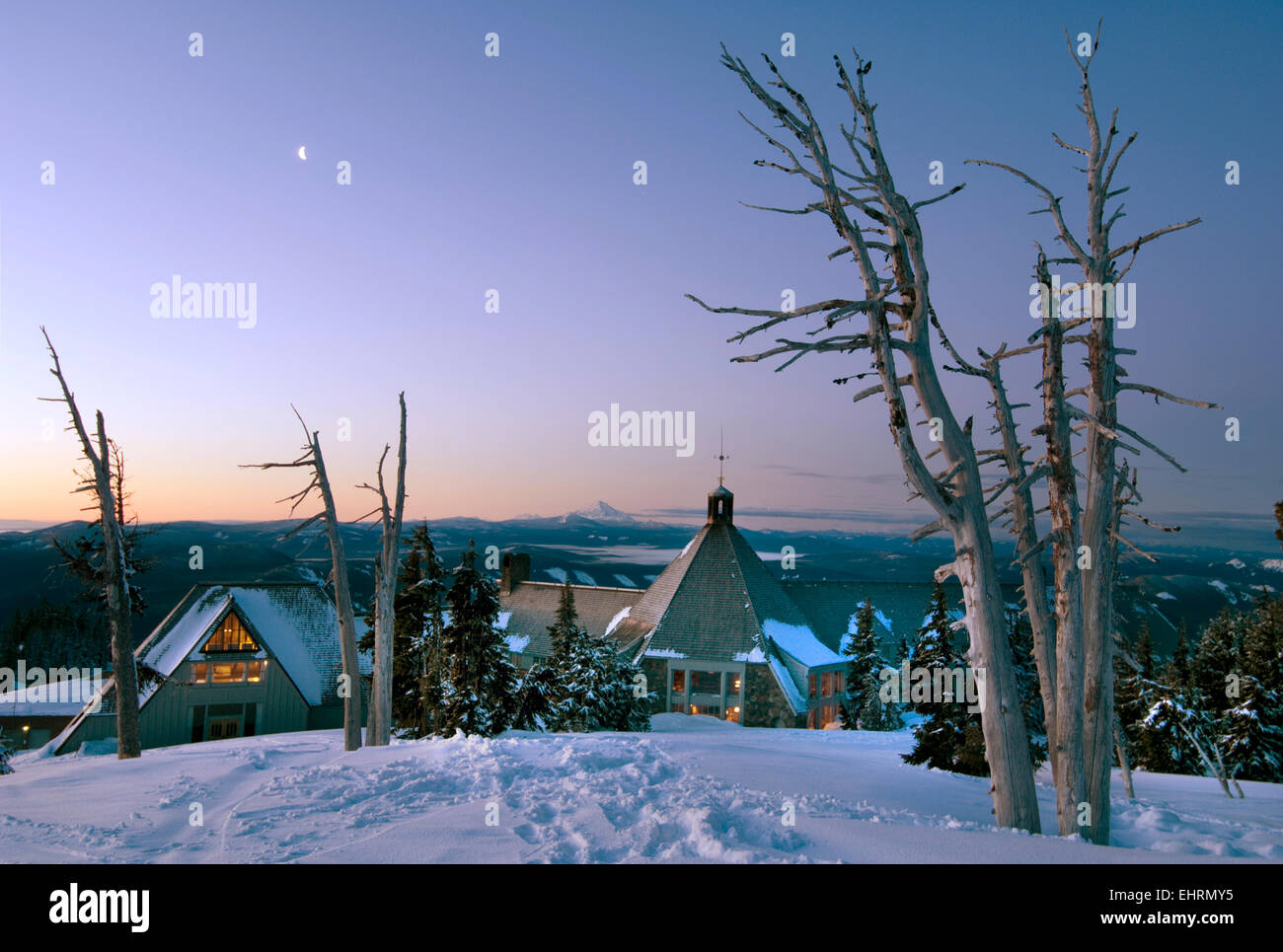 Dead trees in winter at sunrise at Timberline Lodge, Mt Hood, Oregon ...