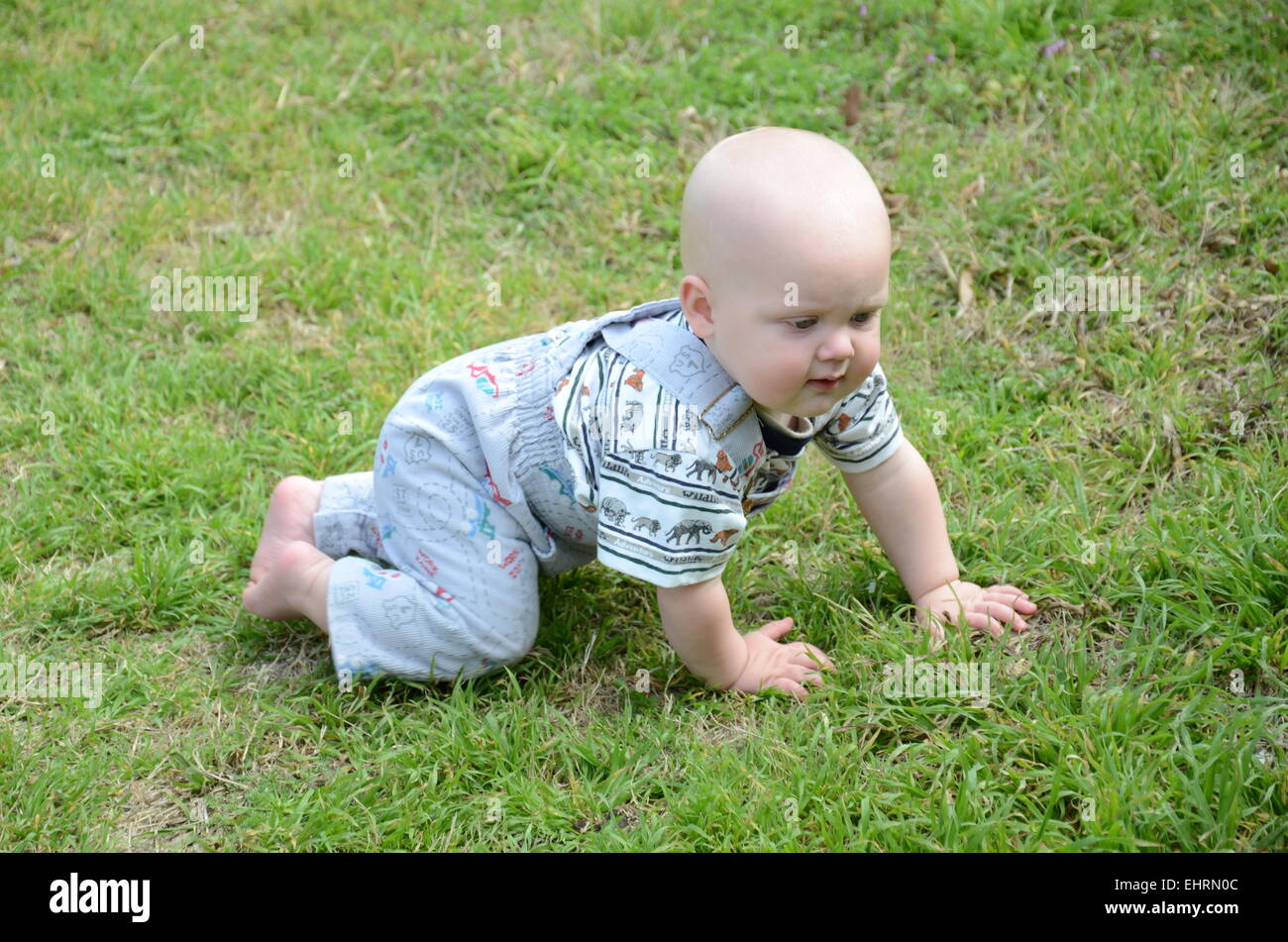 Baby meets grass Stock Photo - Alamy