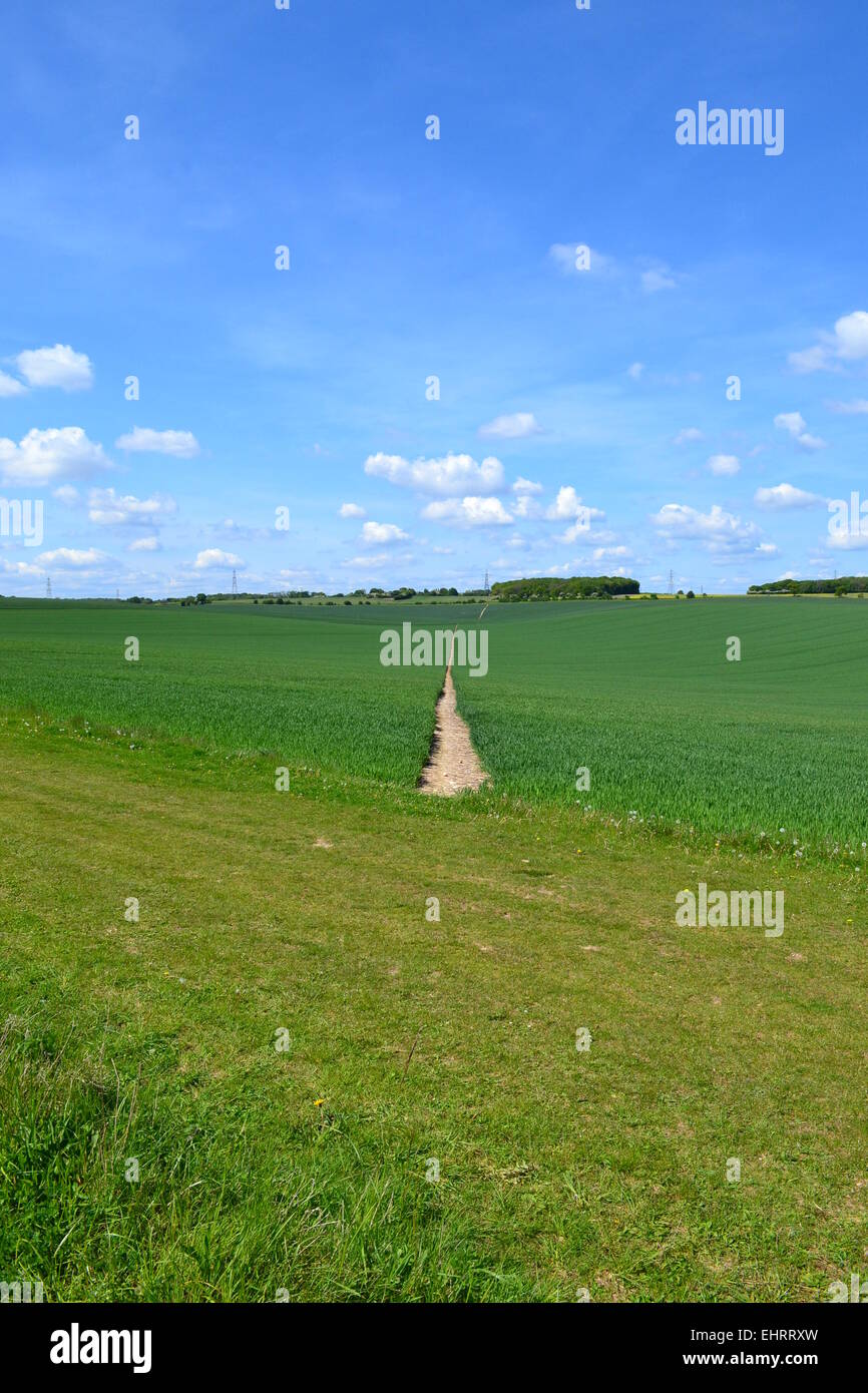 footpath across field Stock Photo - Alamy