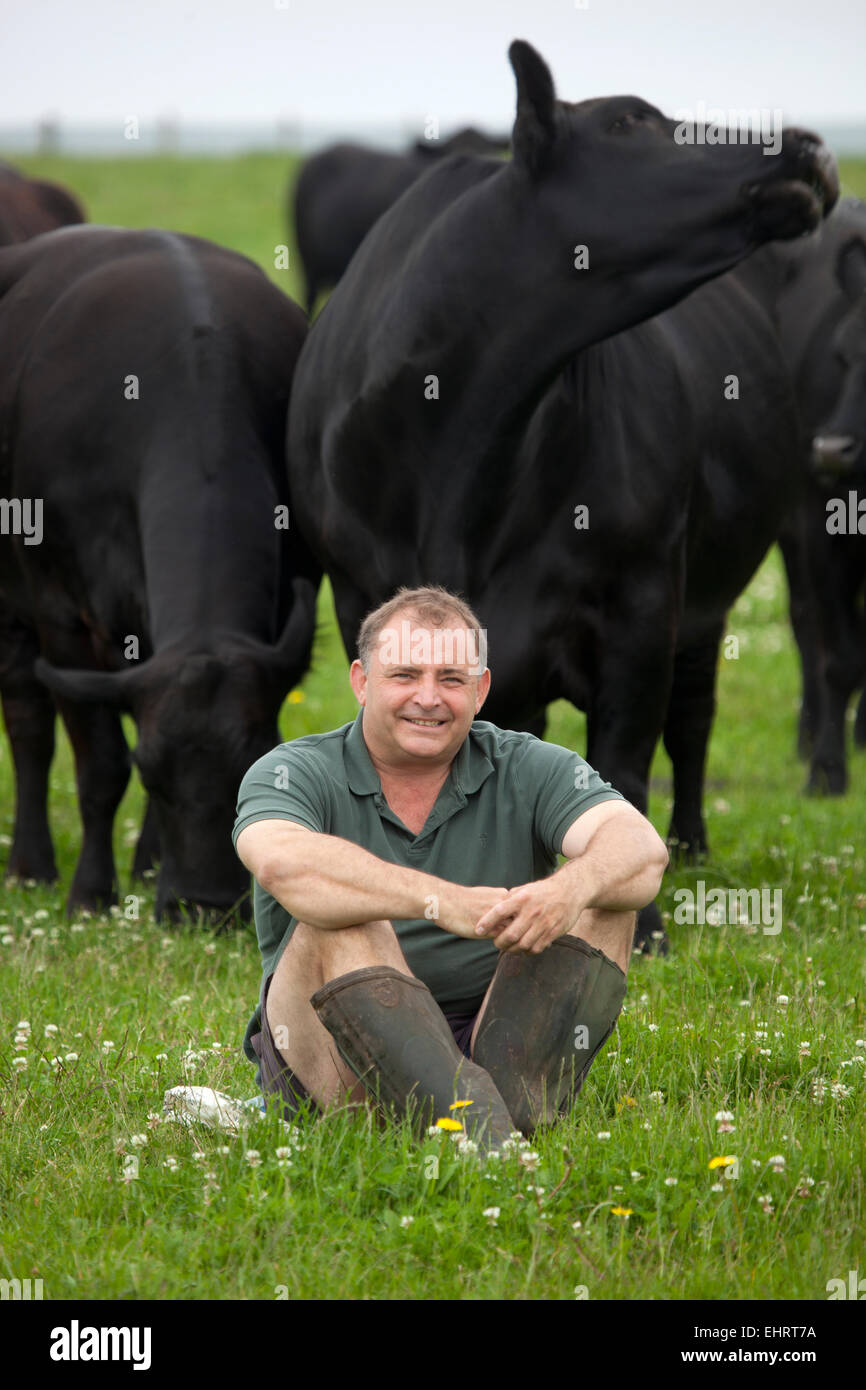 Angus Stovold Beef Farmer with cattle at his farm in Shackleford Surrey ...